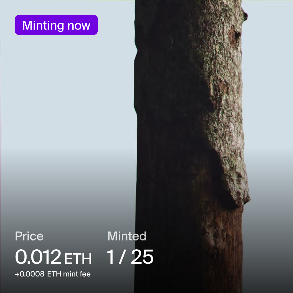 Interlude | Foundation