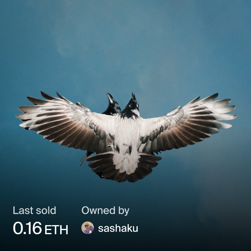 Two-headed wise crow | Foundation