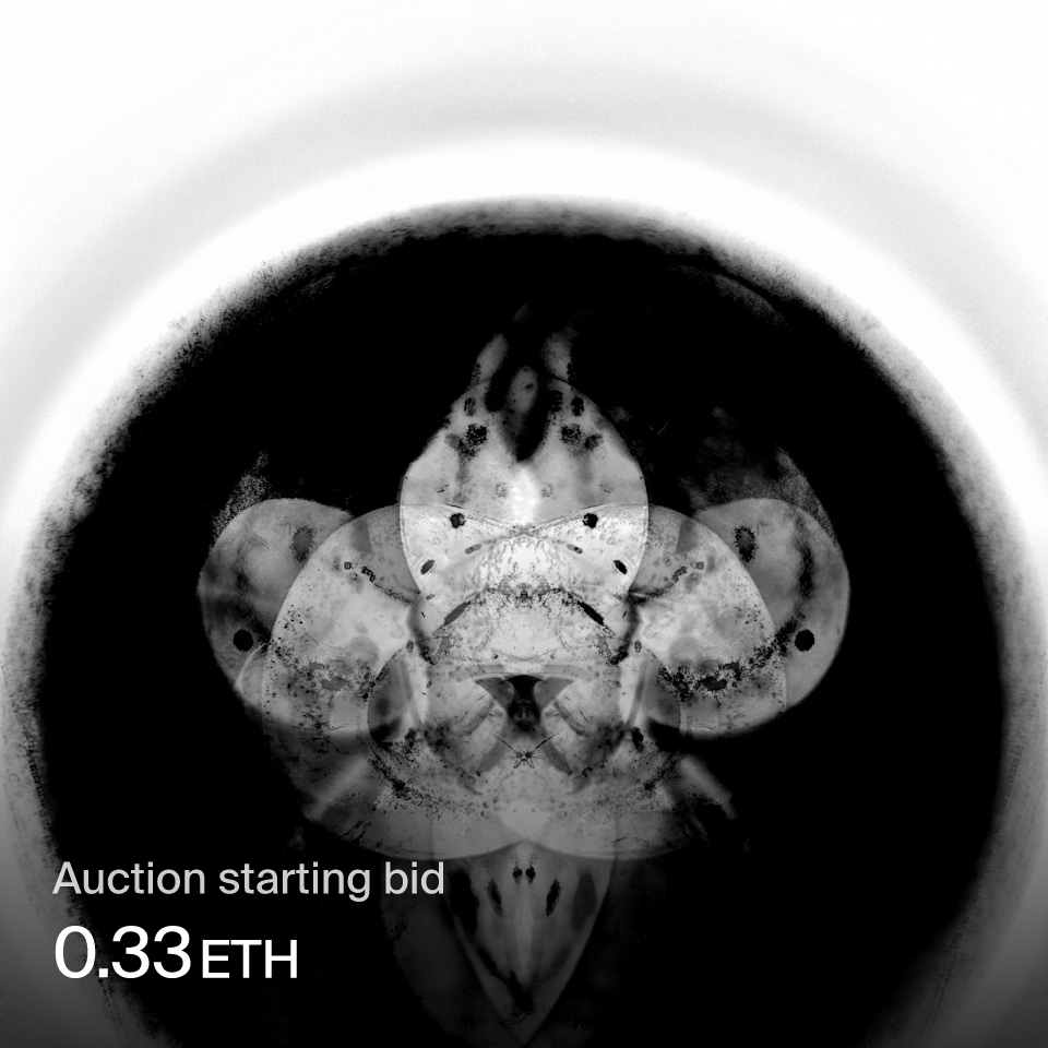 #2 Creature (NFT/Print) | Foundation