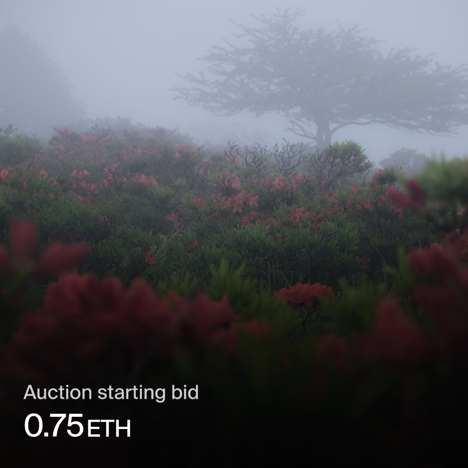 Phantom Garden | Foundation