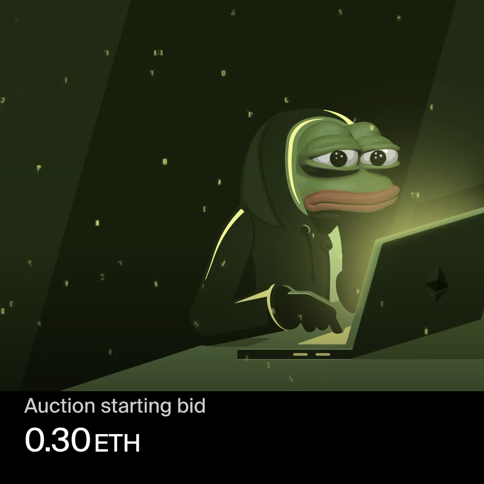 Mr. Pepe | Foundation