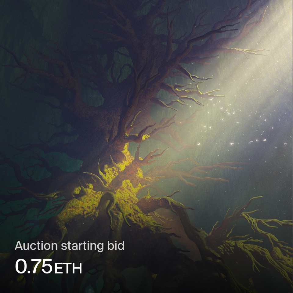 Underground secret | Foundation