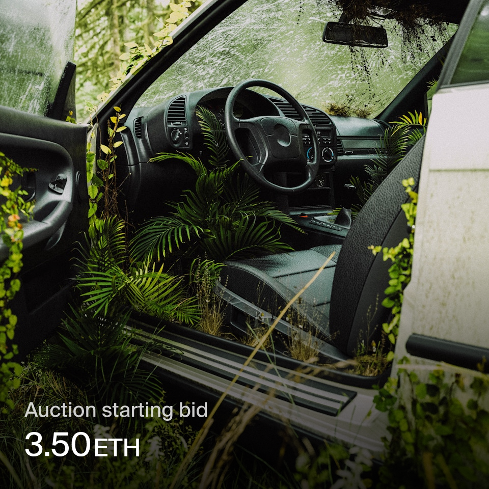 Overgrown | Foundation