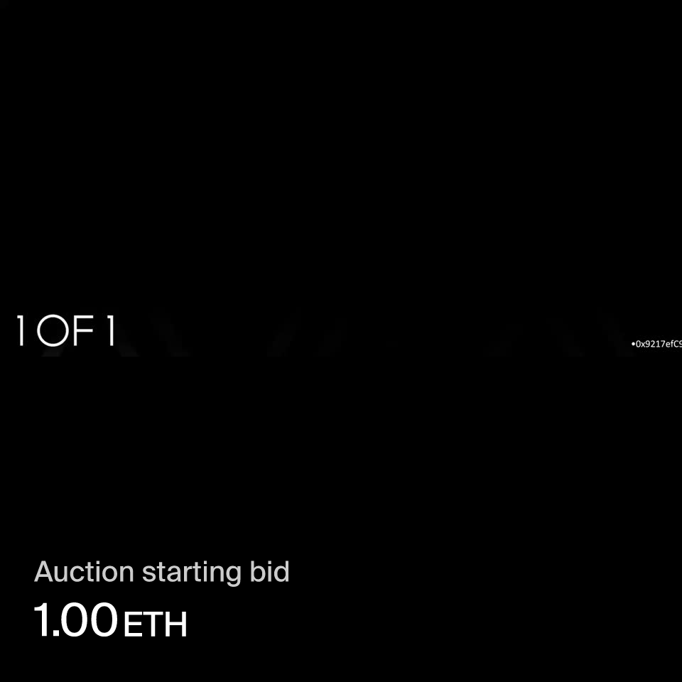 High Life | Foundation