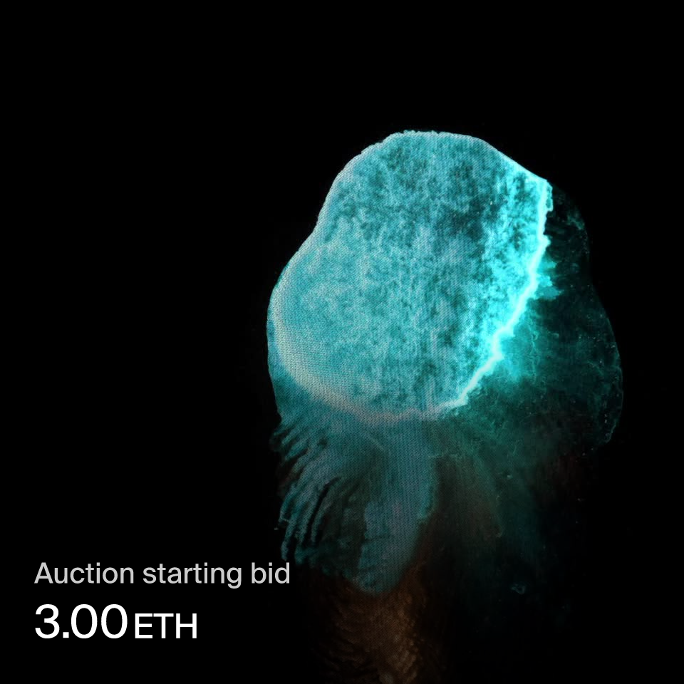 Touch B | Foundation