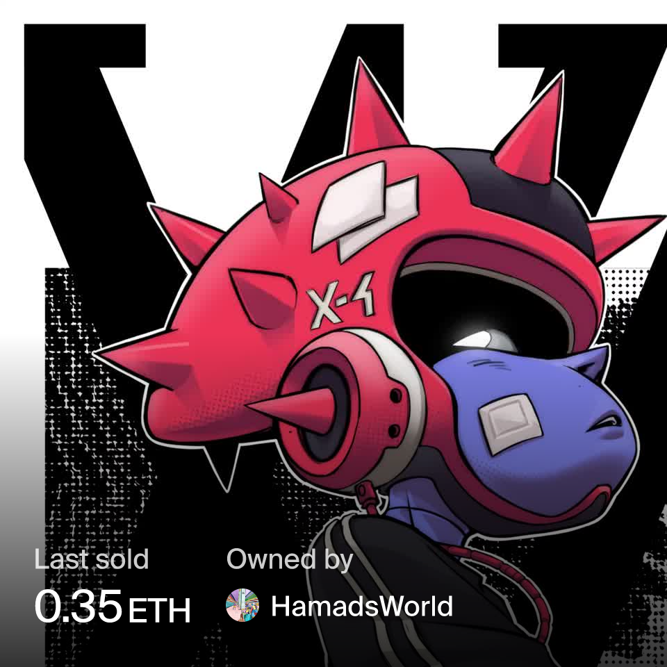 X Collection | Foundation