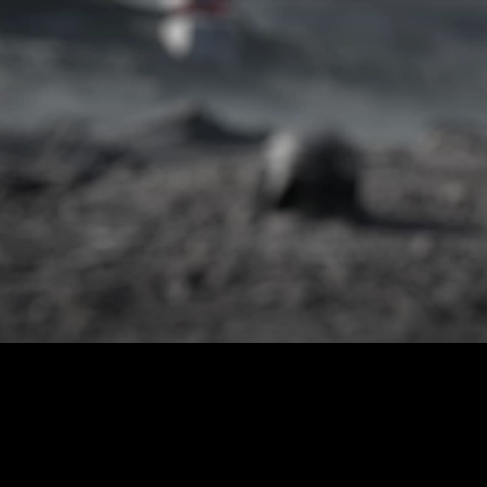 WATCHER-001 | Foundation