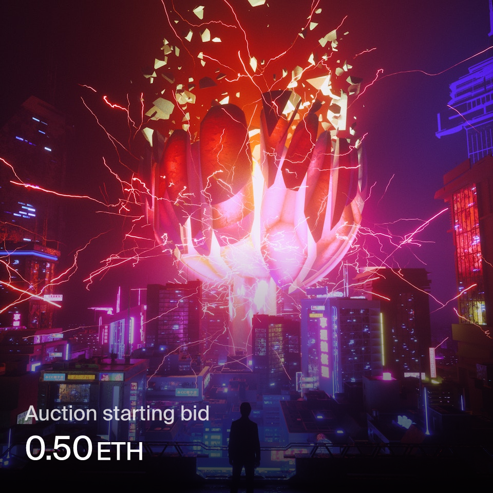 VIVID ANOMALY | Foundation