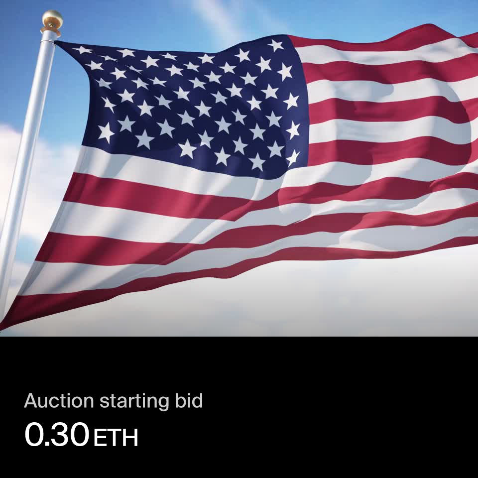 USA - NFT Flags of Countries Series | Foundation