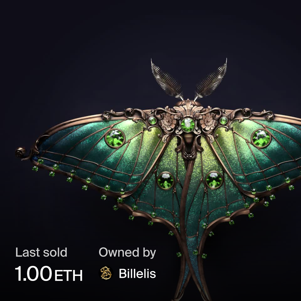 Teal Moth | Foundation