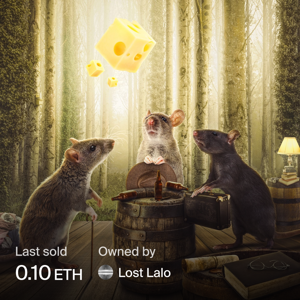 Magic Cheese | Foundation