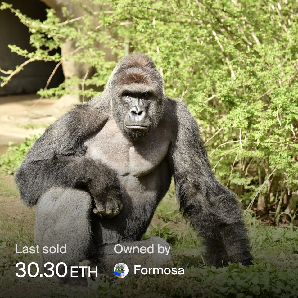 Harambe | Foundation