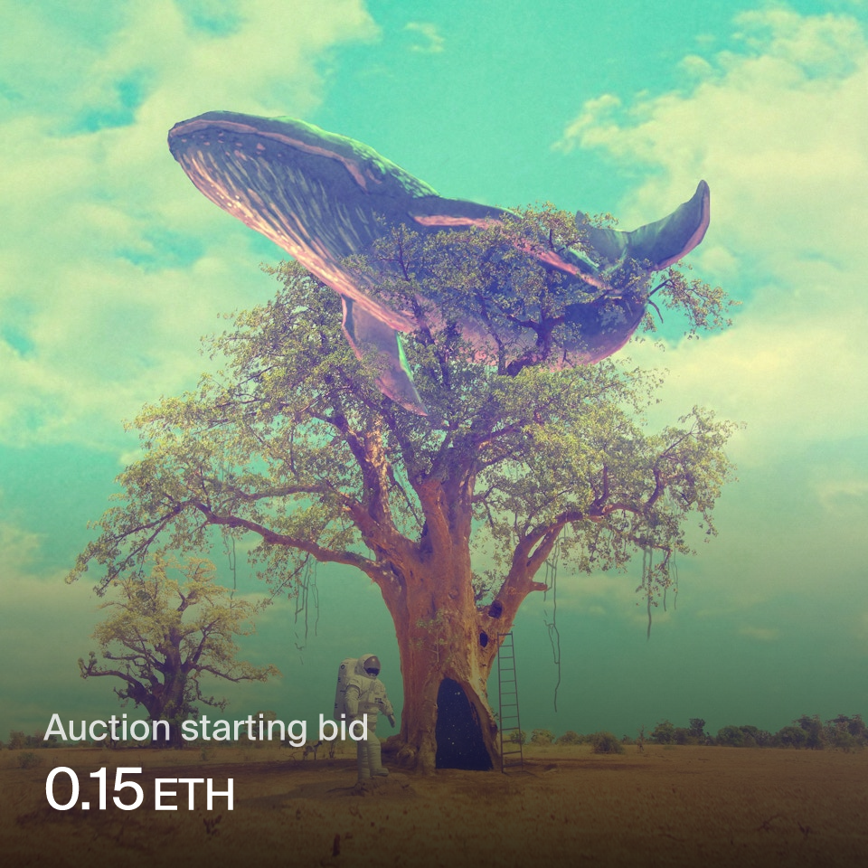 Apollo-Green | Foundation