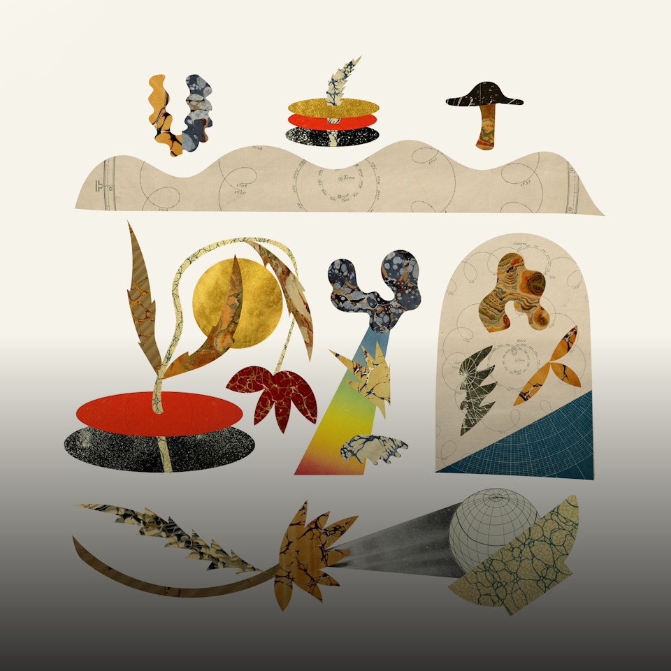 The First Collection | Foundation