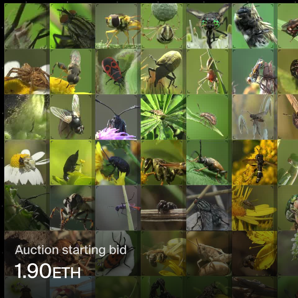 Insect chess board, 8K | Foundation