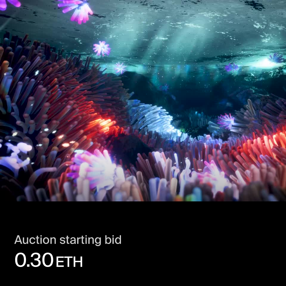 DigiScape - Seabed | Foundation