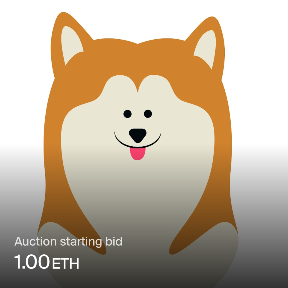 DOGE NFT | Foundation