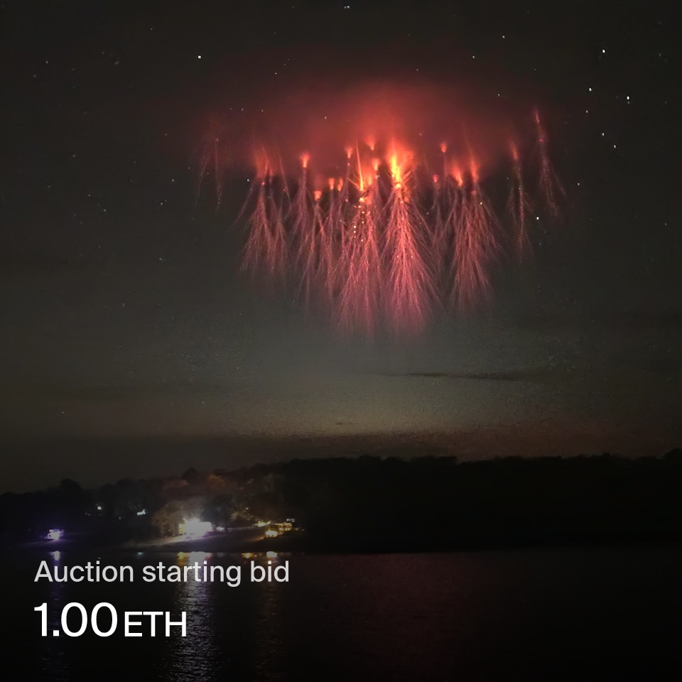 Jellyfish Sprite | Foundation