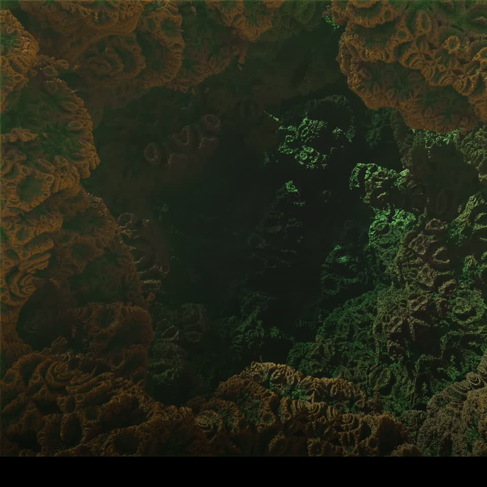 //Fractal Forest 005 | Foundation