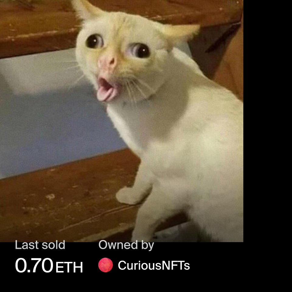 Coughing Cat | Foundation