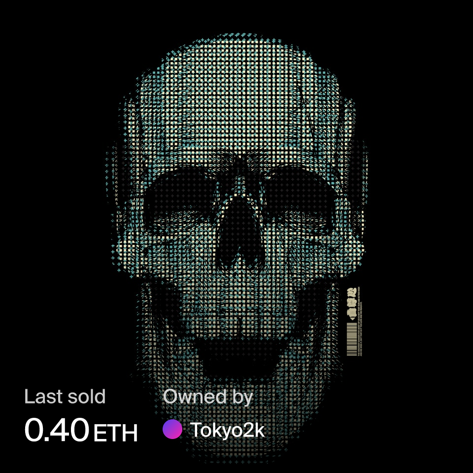 H74 Matrix Skull | Foundation