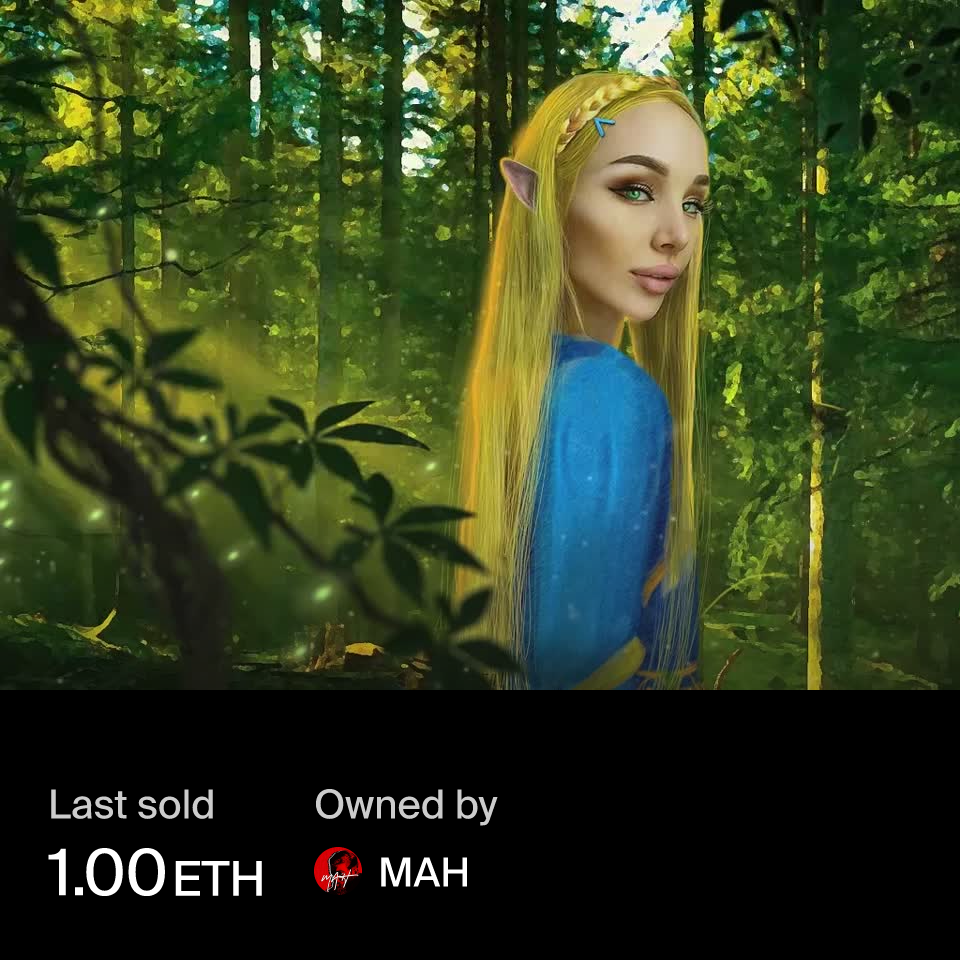 Princess Zelda | Foundation