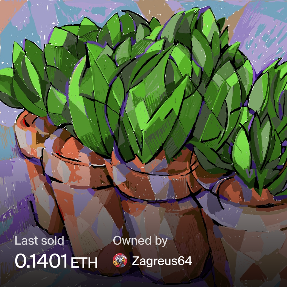 Cubist succulent plants | Foundation