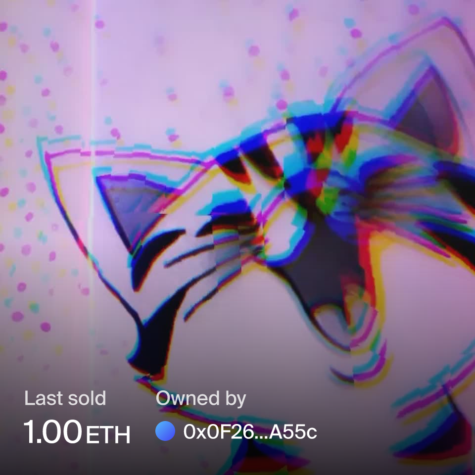 LSD : Dreaming Cat | Foundation