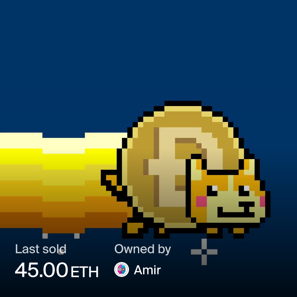 Nyan Dogecoin | Foundation