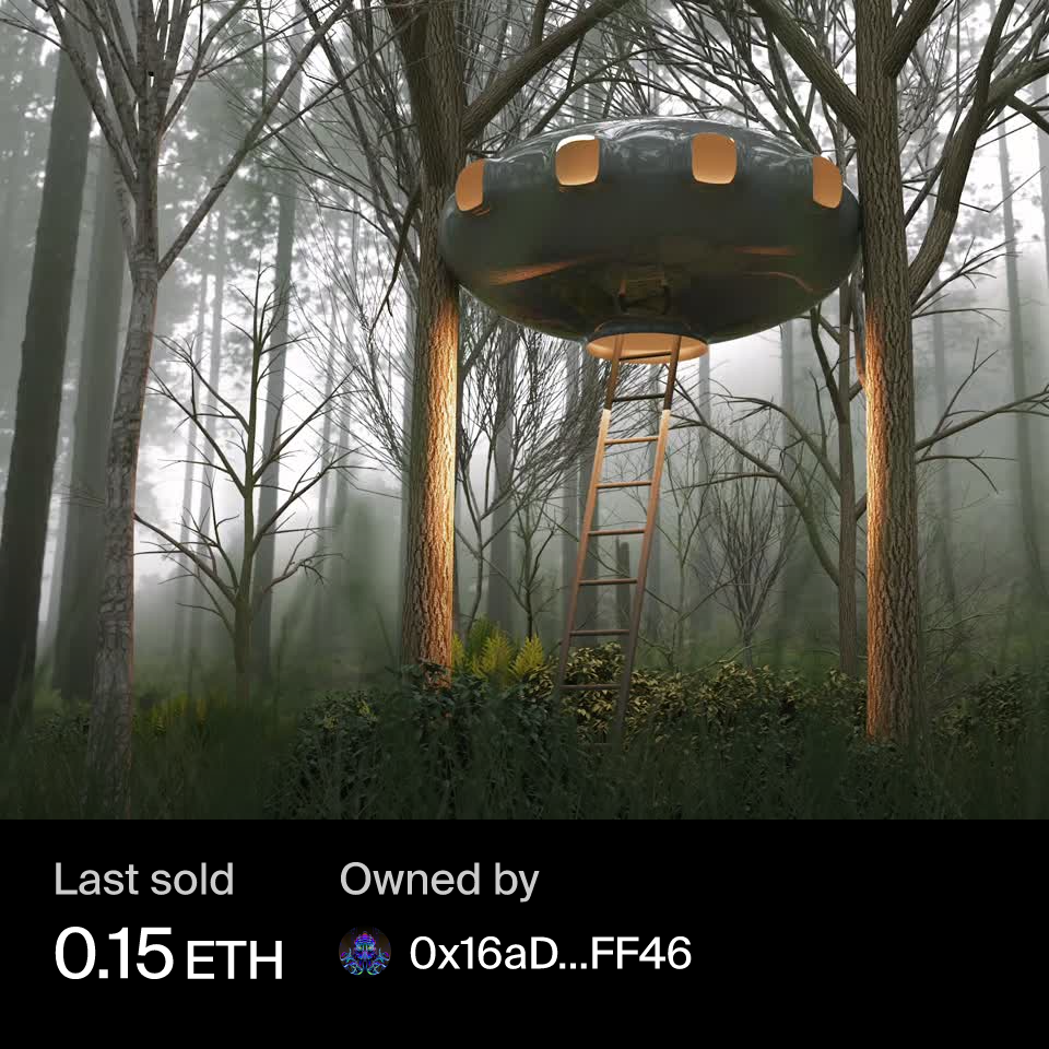 UFO Treehouse | Foundation