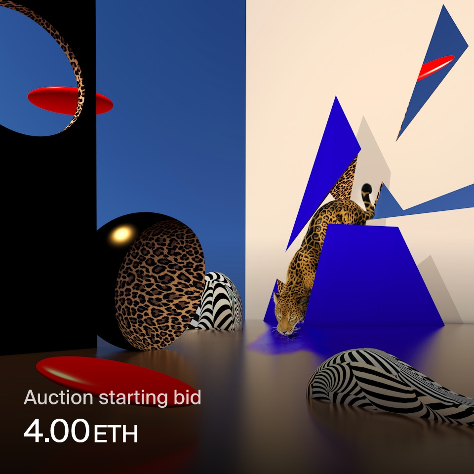 Space Zoo | Foundation