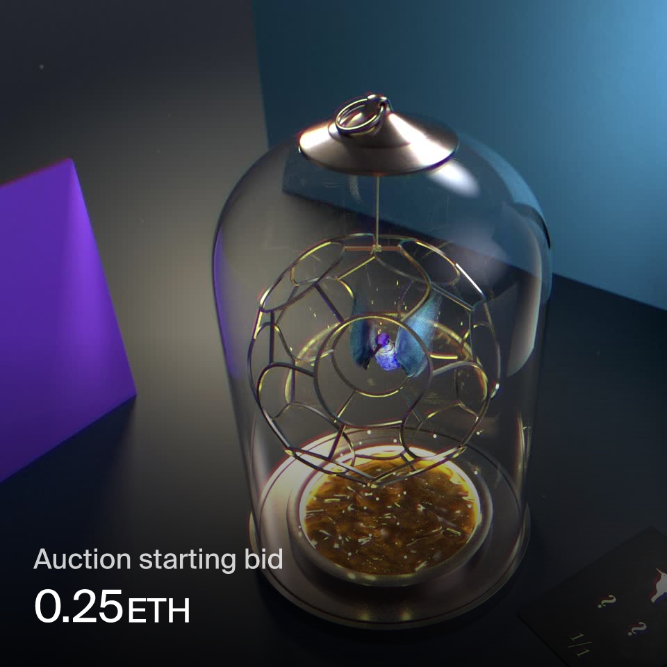 Hummingbird | Foundation