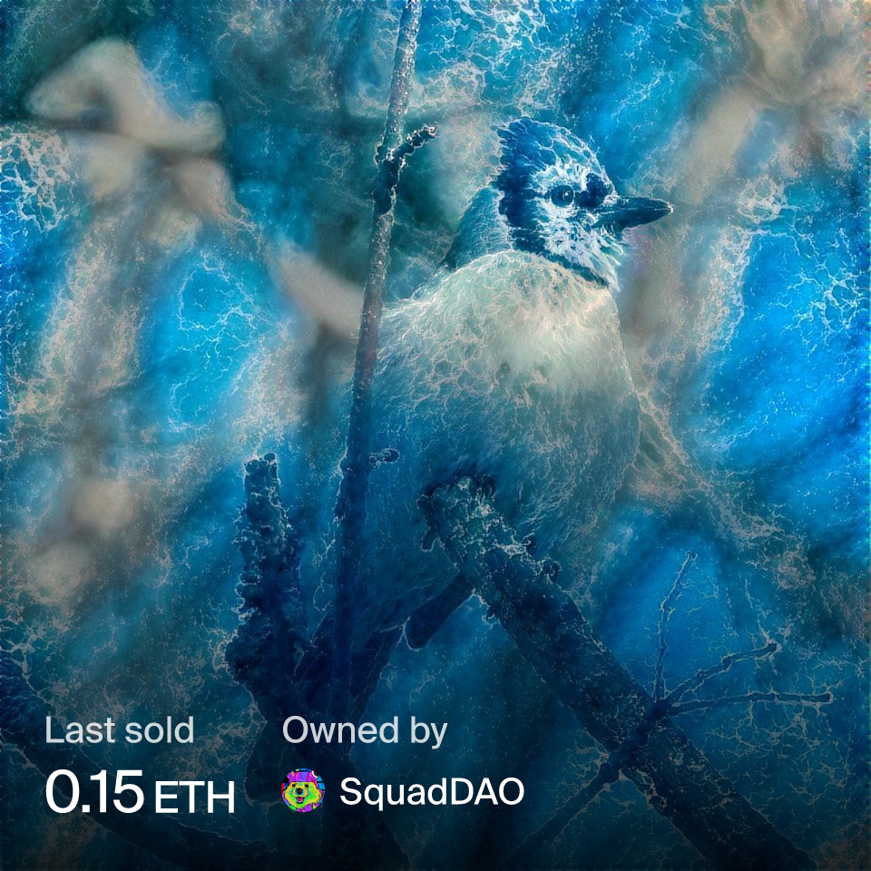 Ocean Jay | Foundation