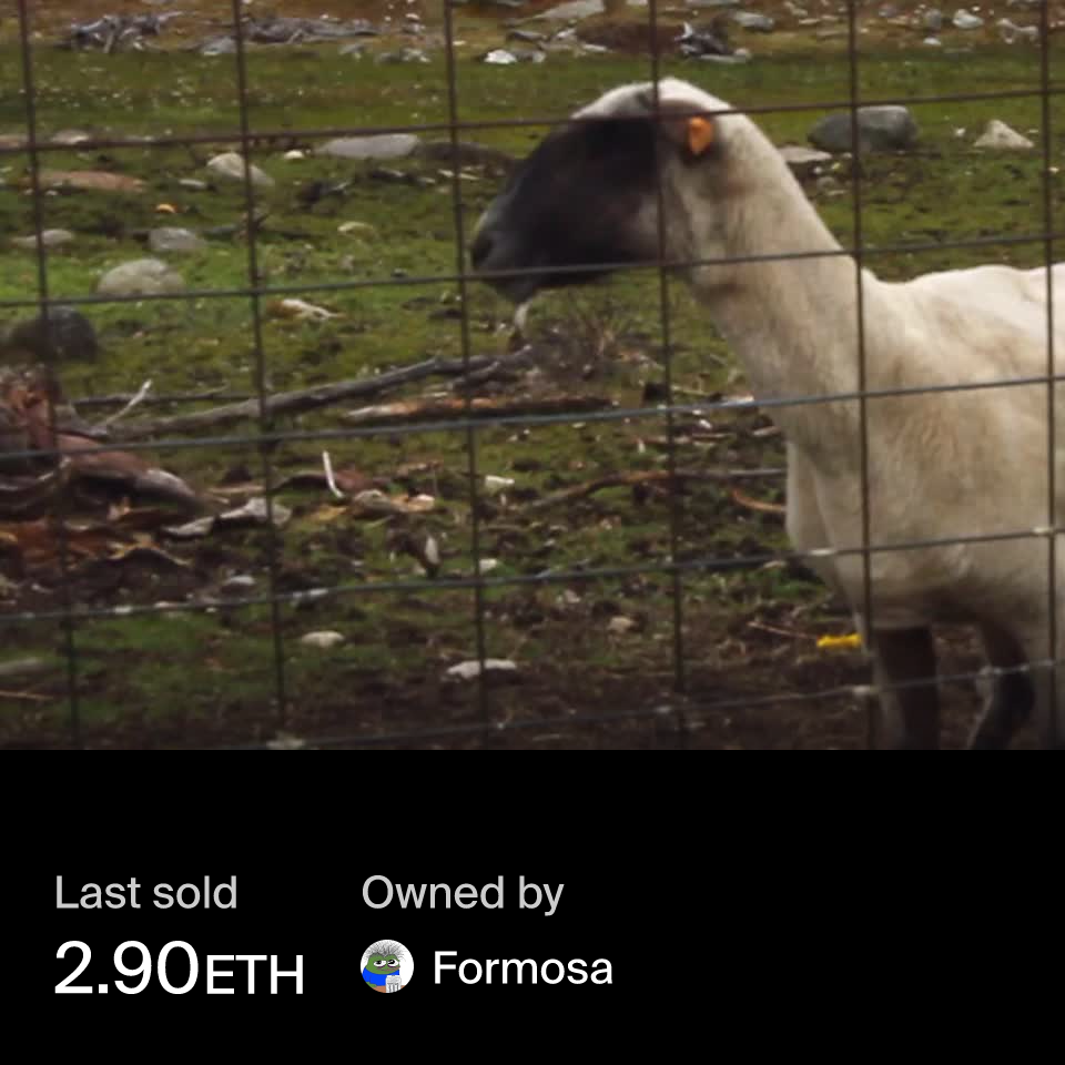 The Screaming Sheep (Original Upload) | Foundation