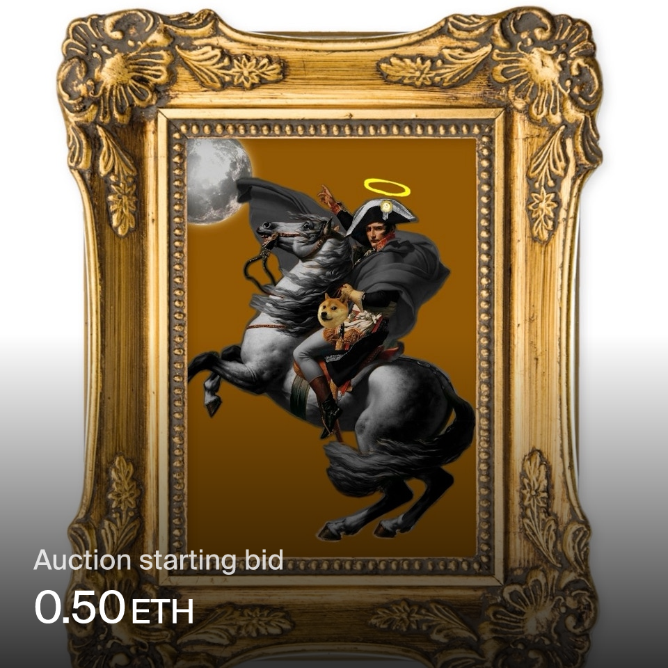 Napoléon & Doge | Foundation