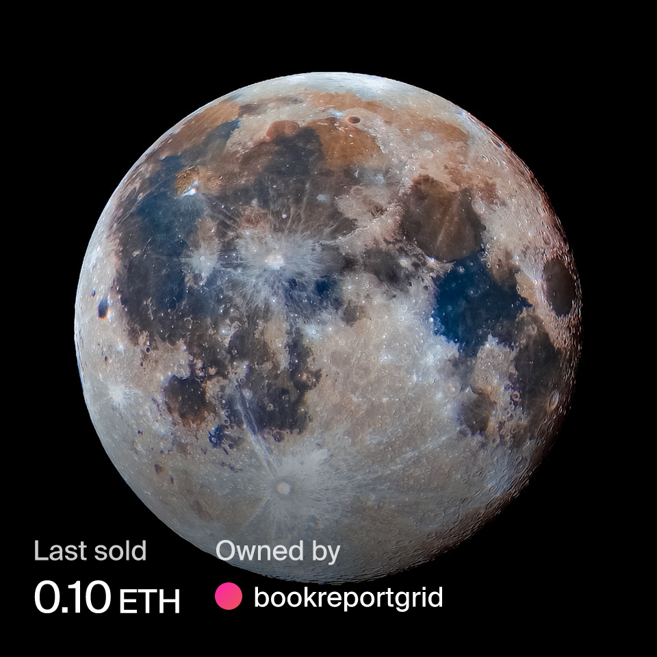 Mineral Moon | Foundation