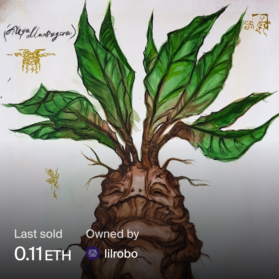 Mandrake | Foundation