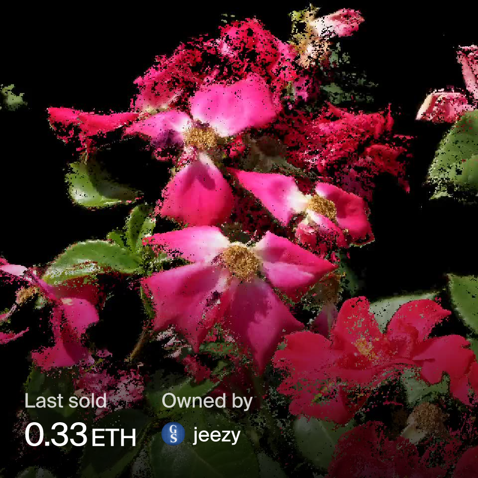 China Rose [NFT version] | Foundation