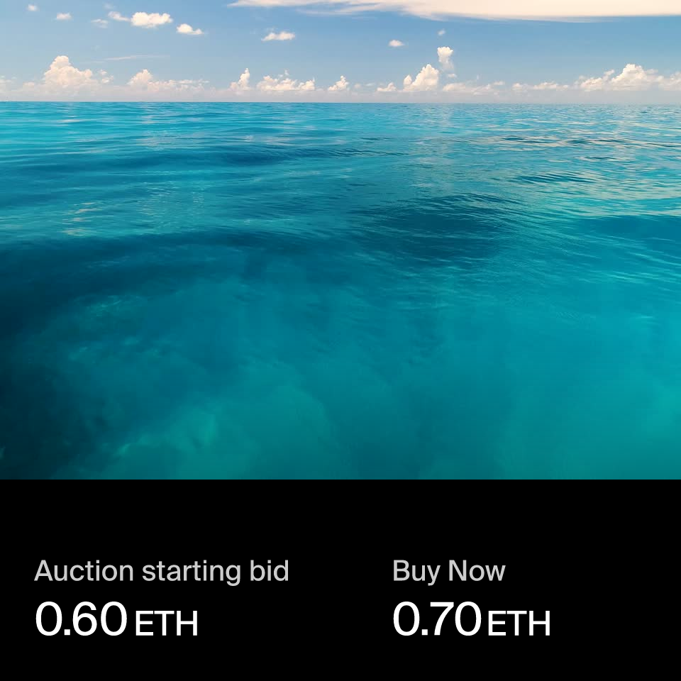 Loop d' Loop | Foundation