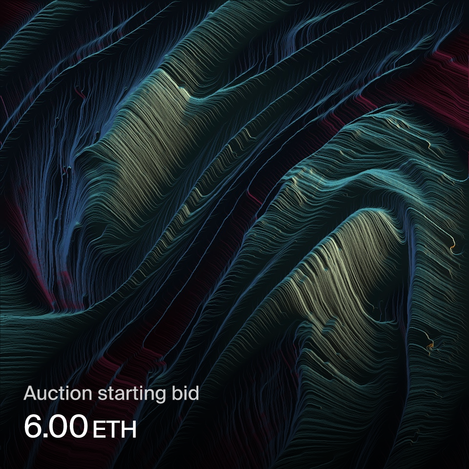 Unknown Anatomy | Foundation