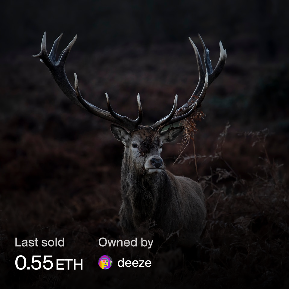 Emperor | Foundation