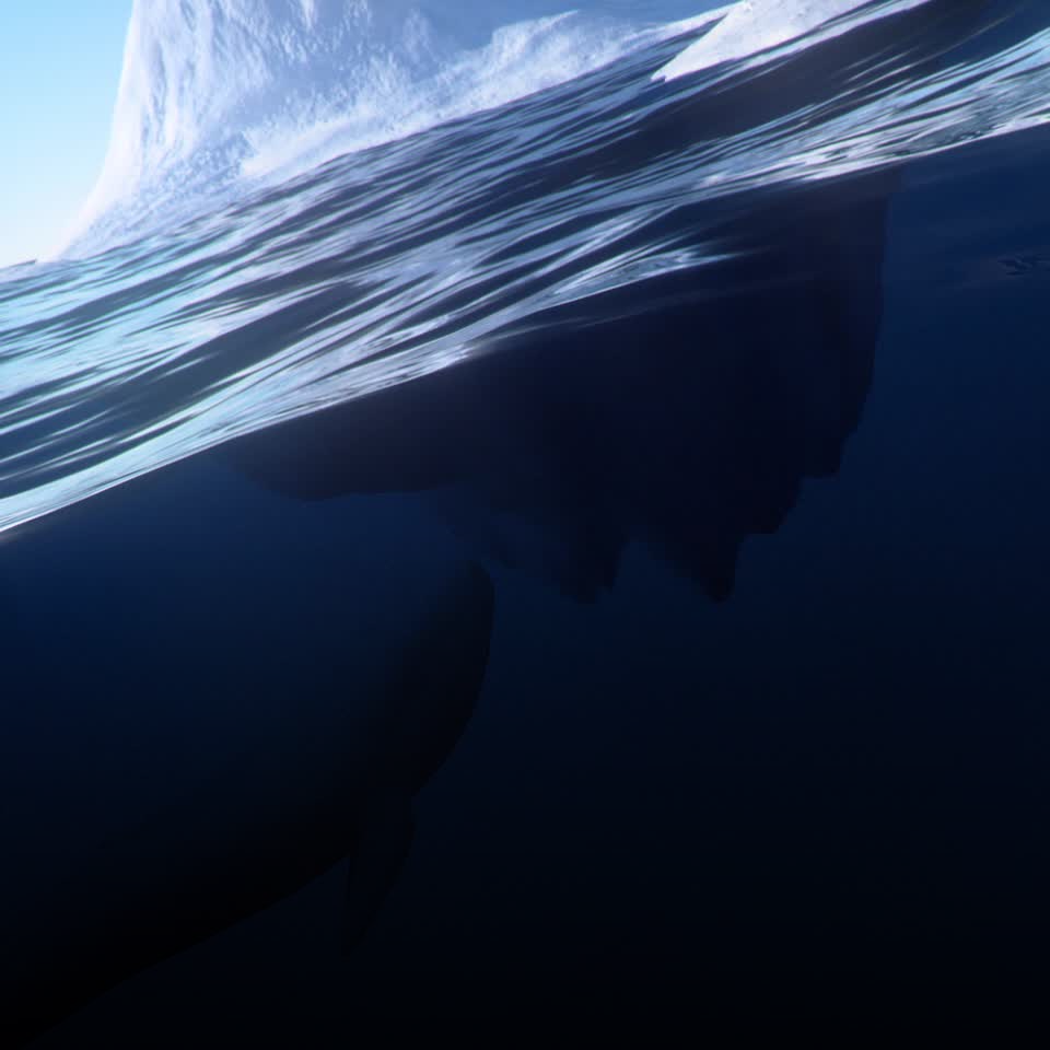 Homo Aquaticus | Foundation