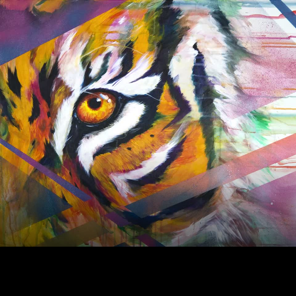 Fragmentation | Foundation