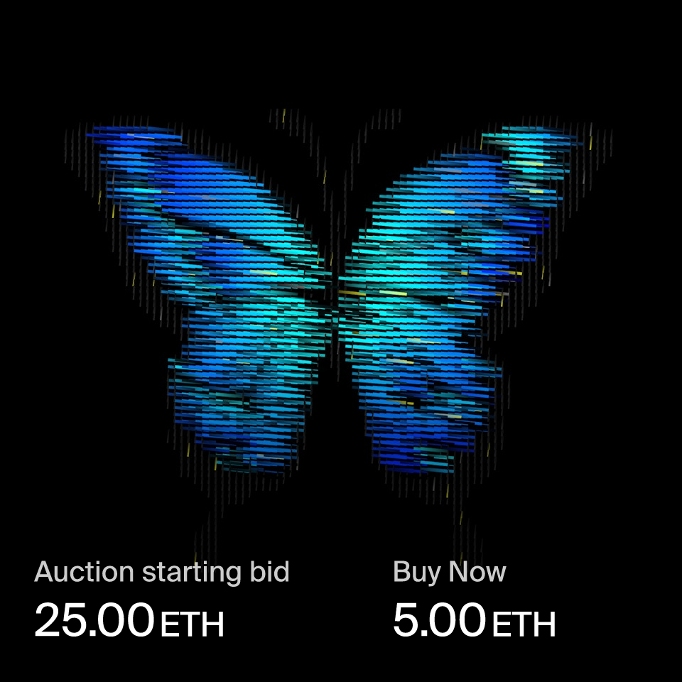 butterfly in motion | Foundation