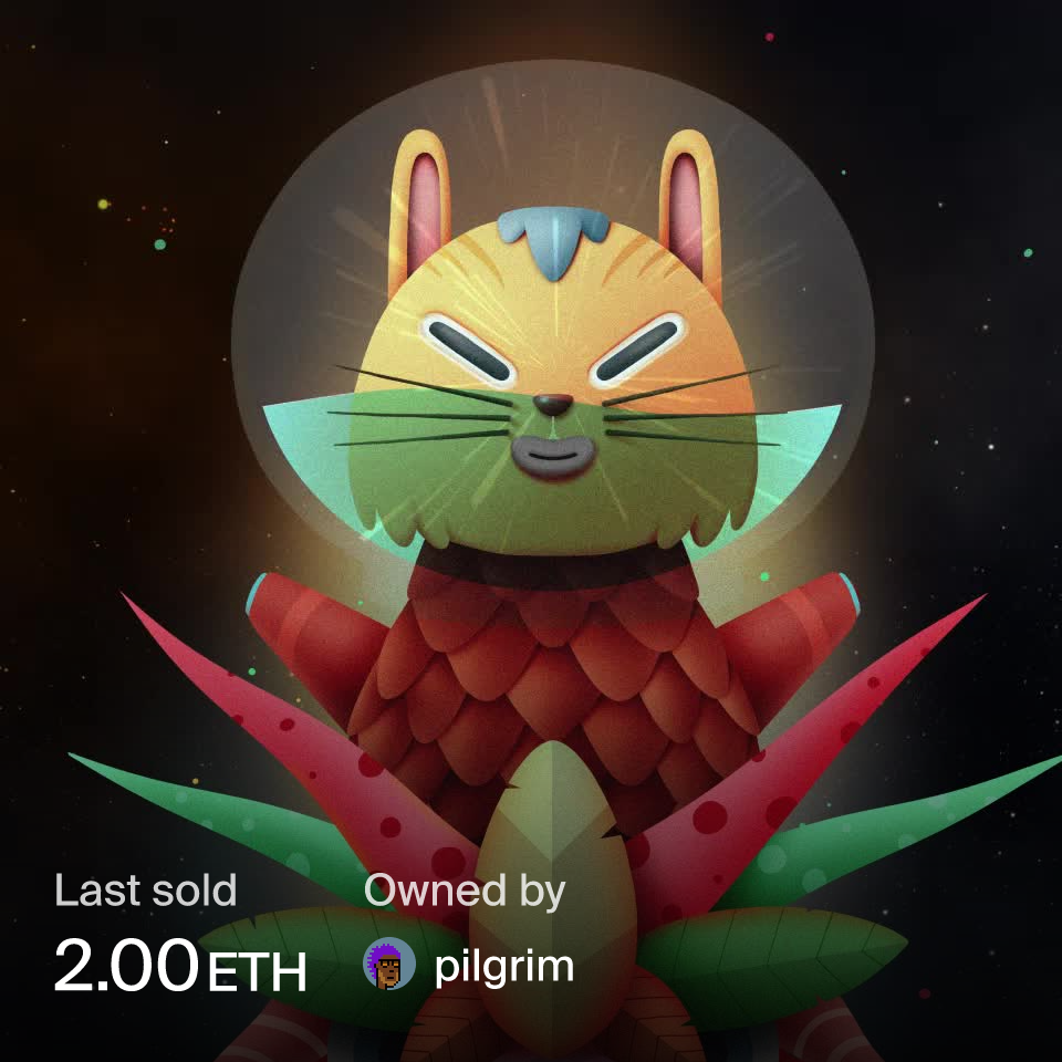 Astro Cat | Foundation