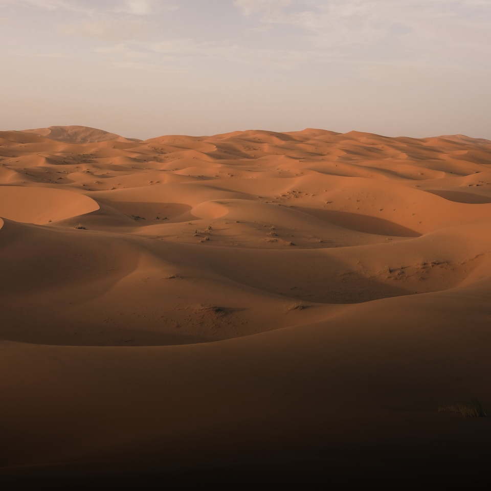 Moroccan Moon | Foundation