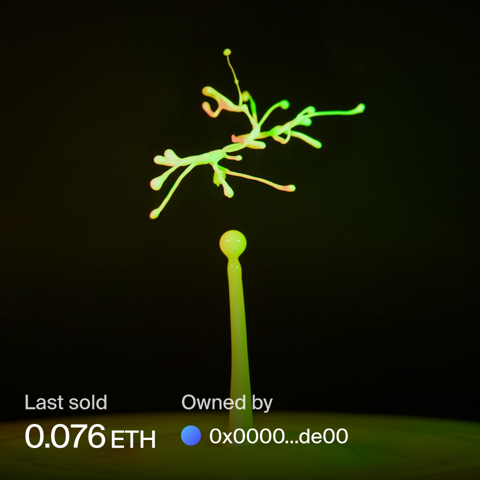 Splash of Colour #30 | Foundation