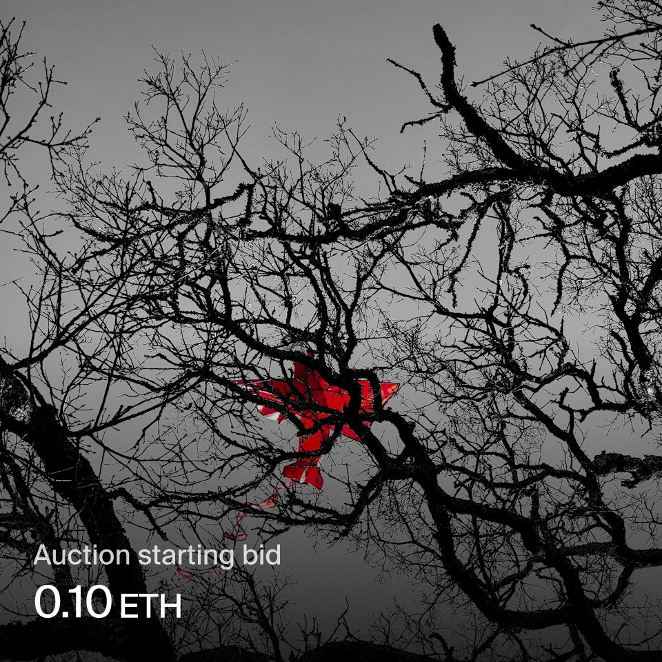 Blood Red Flags | Foundation