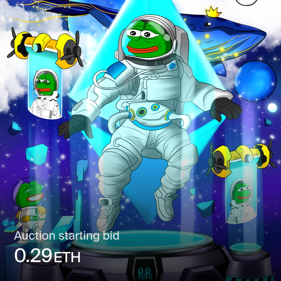 space pepe | Foundation