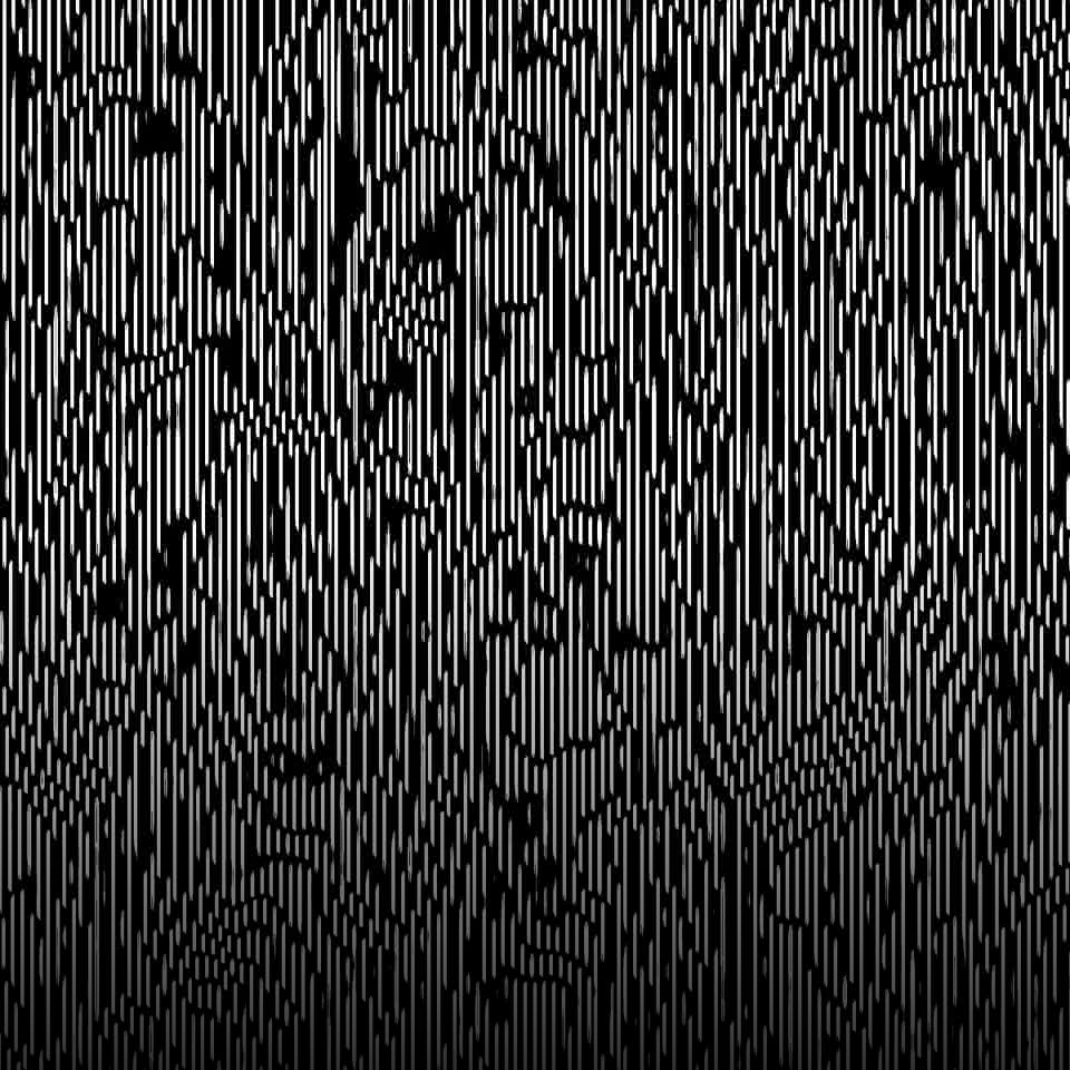 TERRA #8 | Foundation